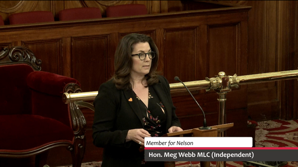 Statement - Tasmanian Integrity Commission Complaint Dismissal - Meg ...