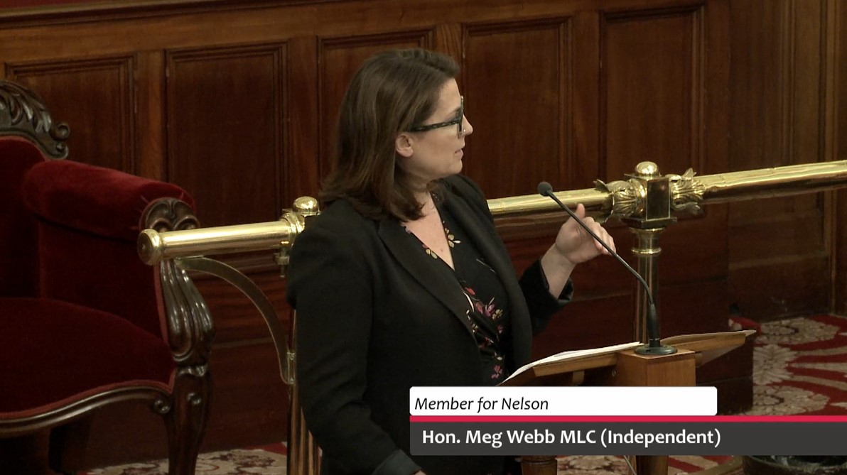 Motion Debate - Disallowance Motion on Hydro-Electric Corporation ...