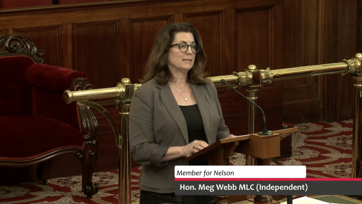 Speech - Budget Accountability and Oversight Committee Bill 2025 - Meg ...