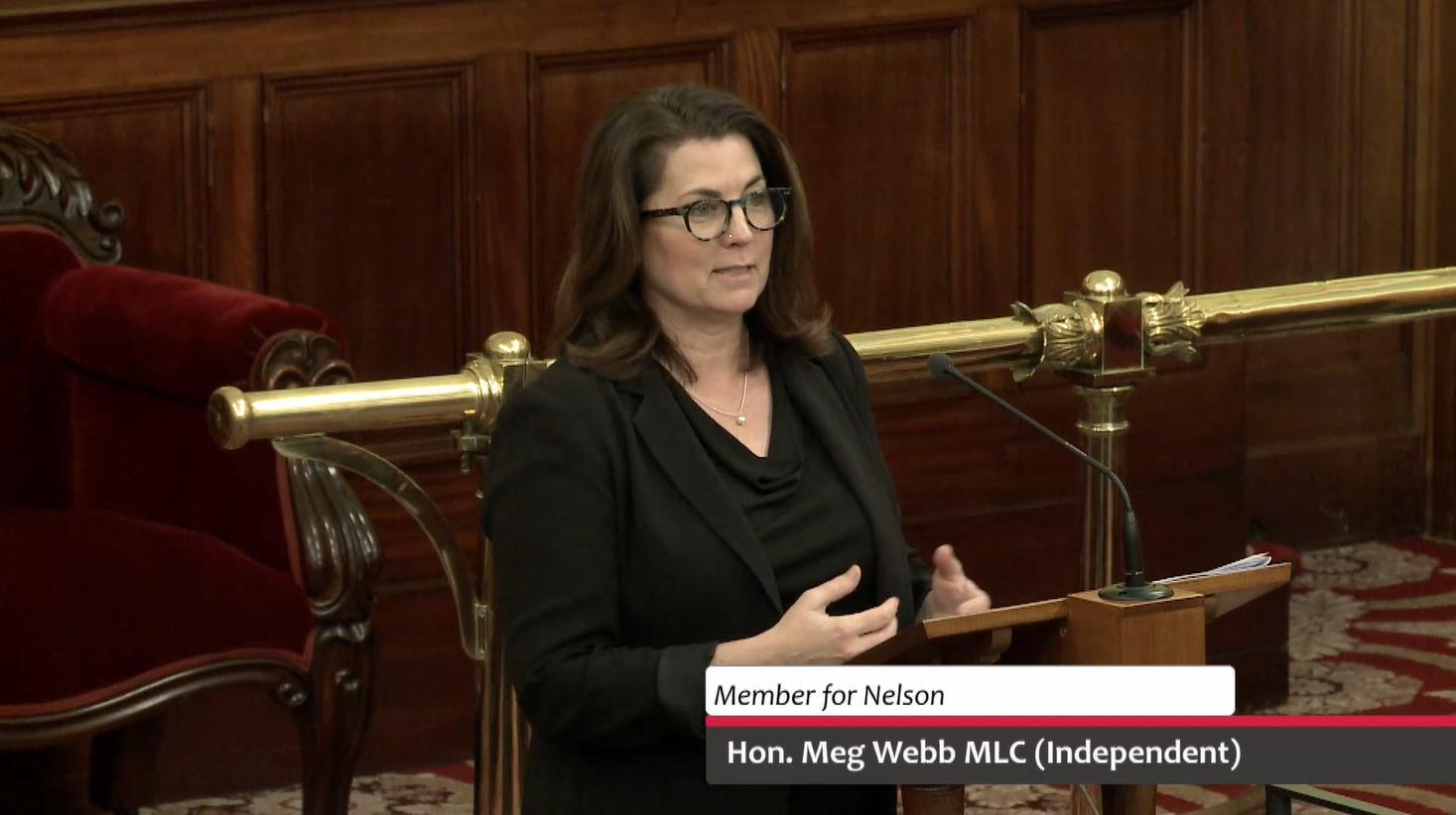 Speech - Residential Tenancy Amendment (Pets) Bill 2025 - Meg Webb MLC ...